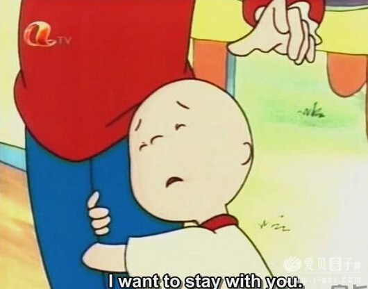 卡由Caillou229集英文原声动画+MP3音频+字幕文本+36本绘本 360网盘分享 - 爱贝亲子网