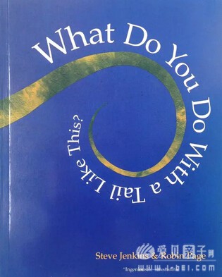 what do you do with a tail like this?《你会用这样的尾巴干嘛呢》绘本下载分享 - 爱贝亲子网