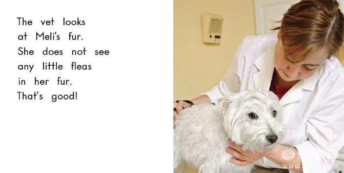 海尼曼G2级英文绘本 Meli at the Vet 译文分享 - 爱贝亲子网