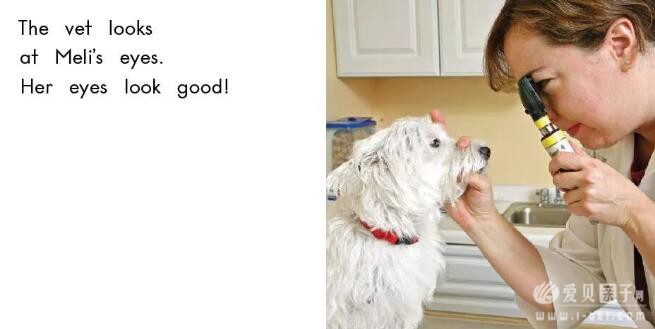 海尼曼G2级英文绘本 Meli at the Vet 译文分享 - 爱贝亲子网